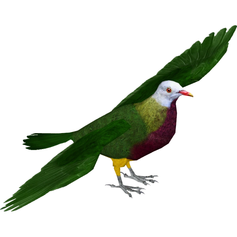 Wompoo Fruit Dove (Deinonychus 110, Maximilian & Samuel) | ZT2 Download ...