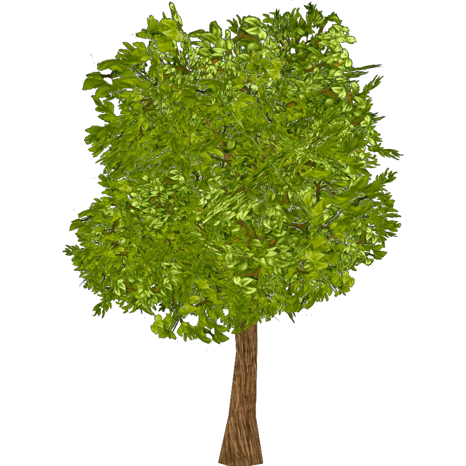 Khejri Tree (The Restorers) | ZT2 Download Library Wiki | Fandom