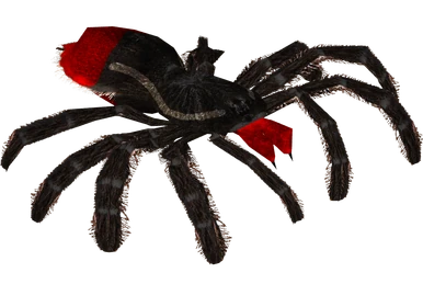 Mongolarachne Jurassica