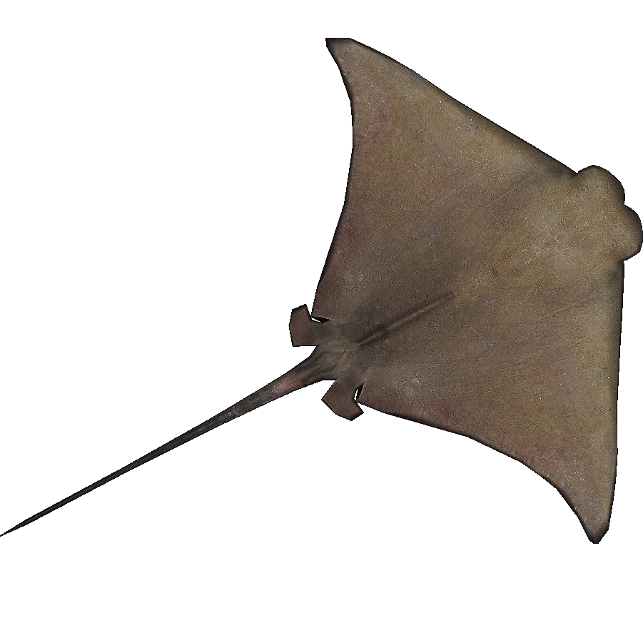 Cownose Ray (Natural Designs) | ZT2 Download Library Wiki | Fandom