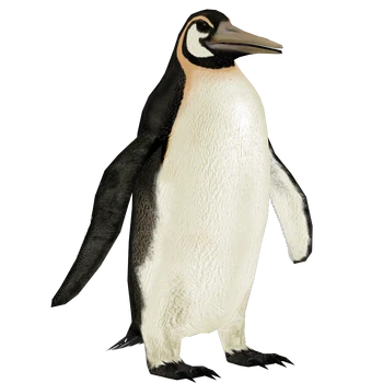 Kupoupou (Demon Hunter) | ZT2 Download Library Wiki | Fandom