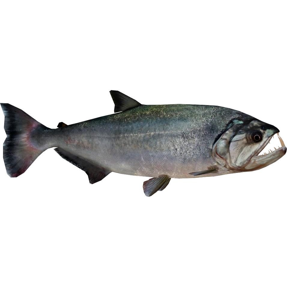 Payara (Buffzoo & Thom) | ZT2 Download Library Wiki | Fandom