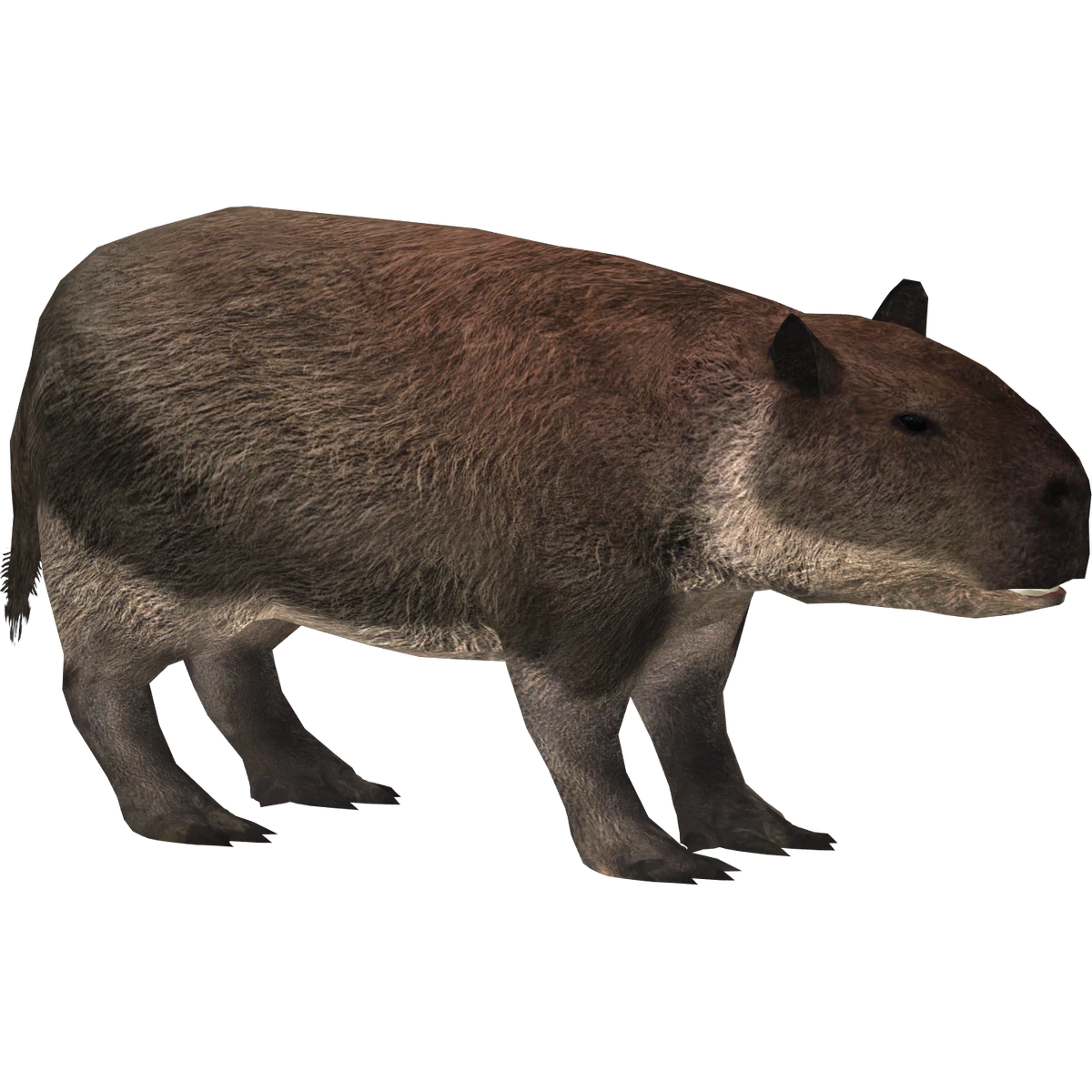 Mesotherium (Demon Hunter) | ZT2 Download Library Wiki | Fandom