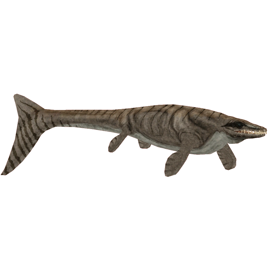 Platecarpus (Okeanos) | ZT2 Download Library Wiki | Fandom