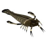 Category:Devonian Animals | ZT2 Download Library Wiki | Fandom