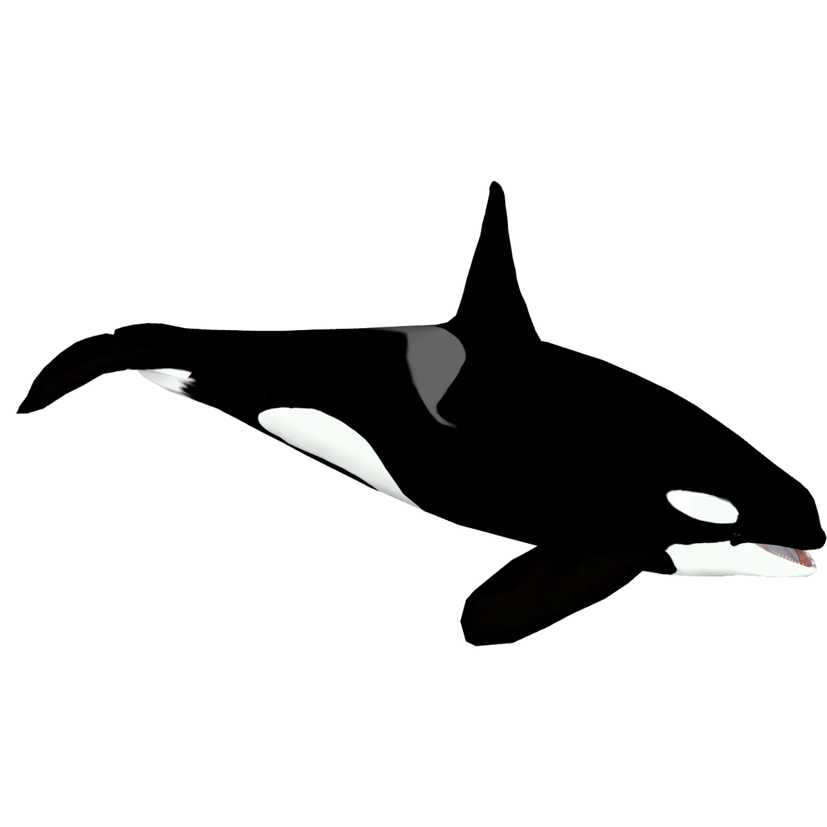 Resident Orca (ObsidianAngst) | ZT2 Download Library Wiki | Fandom