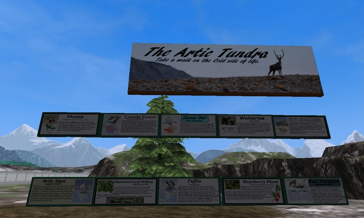Arctic Tundra Signs (kbcoon) | ZT2 Download Library Wiki | Fandom