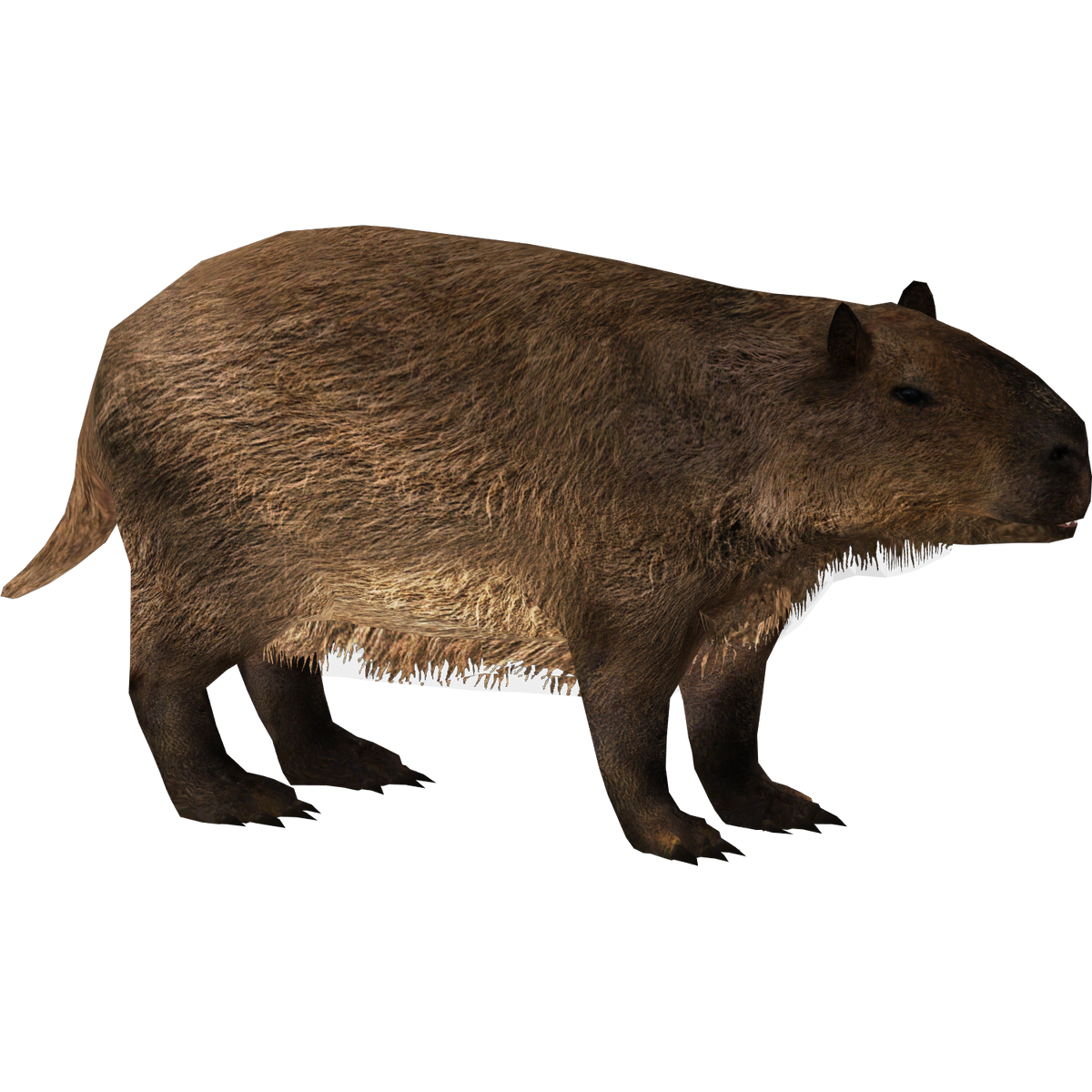 Orinoco Giant Pacarana (Demon Hunter) | ZT2 Download Library Wiki | Fandom