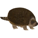 Category:Demon Hunter | ZT2 Download Library Wiki | Fandom