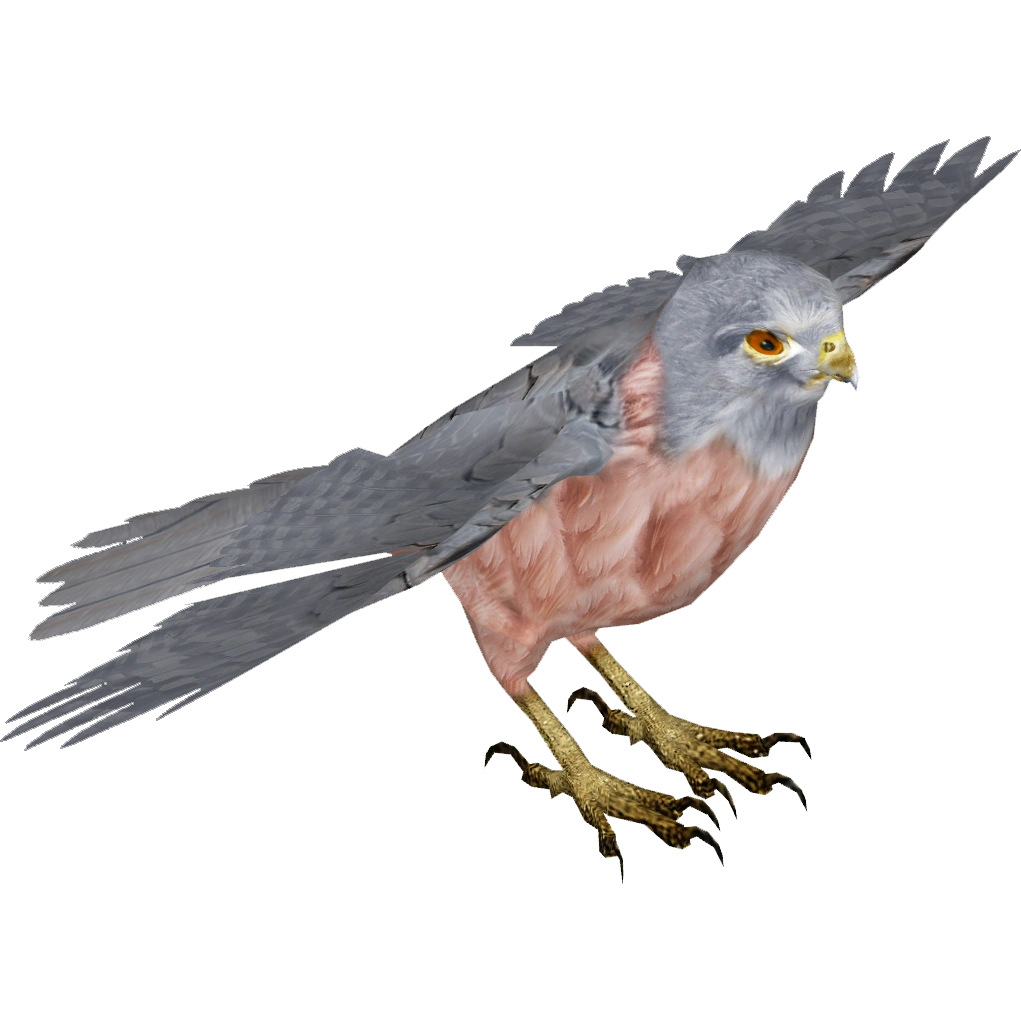 Fiji Goshawk (Tamara Henson) | ZT2 Download Library Wiki | Fandom