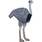 Category:Ratites | ZT2 Download Library Wiki | Fandom