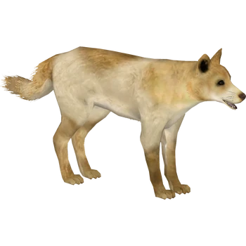 Kuri Dog (Tamara Henson) | ZT2 Download Library Wiki | Fandom