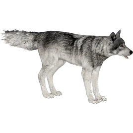 Mosbach Wolf (Palaeoloxodon28) | ZT2 Download Library Wiki | Fandom