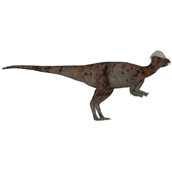 Sphaerotholus (Andrew12 & Luca9108) | ZT2 Download Library Wiki | Fandom