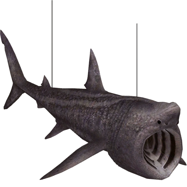 Draggable Marine Models (Lgcfm) | ZT2 Download Library Wiki | Fandom