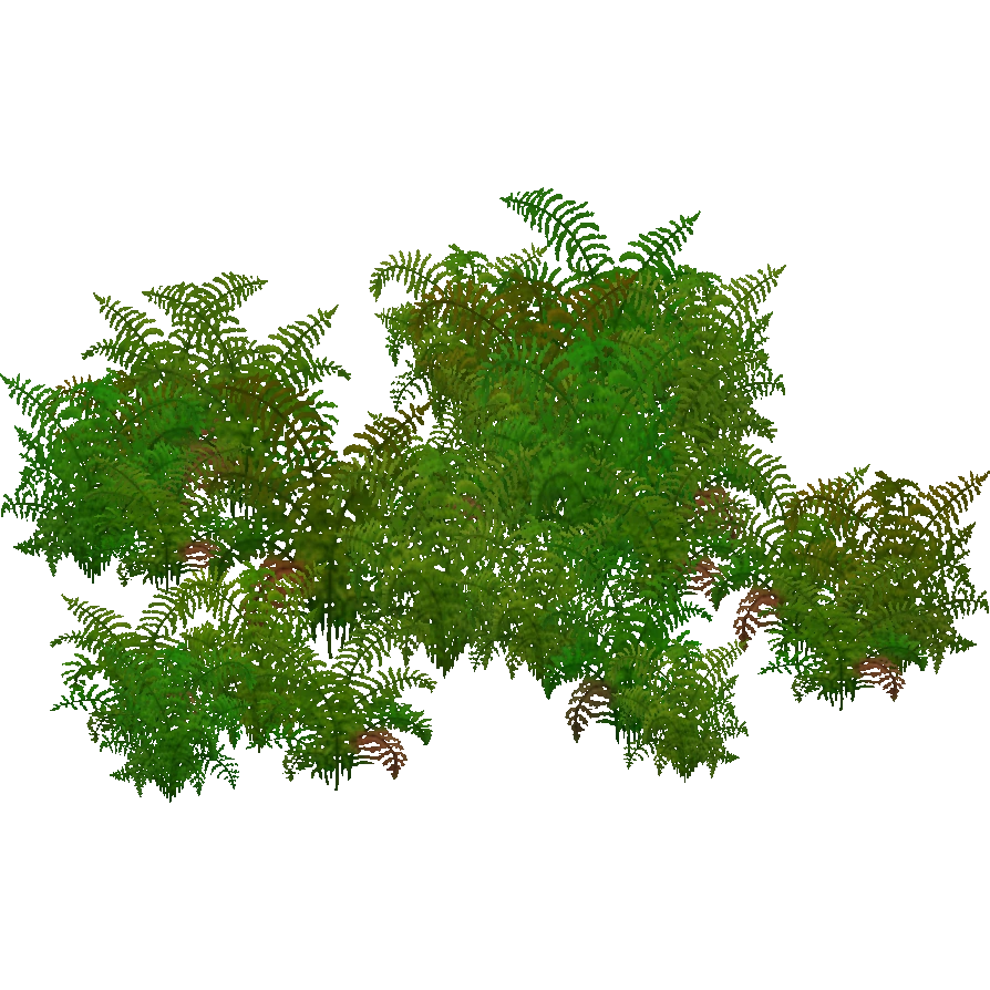 Red Dwarf Tree Fern (Holden) | ZT2 Download Library Wiki | Fandom