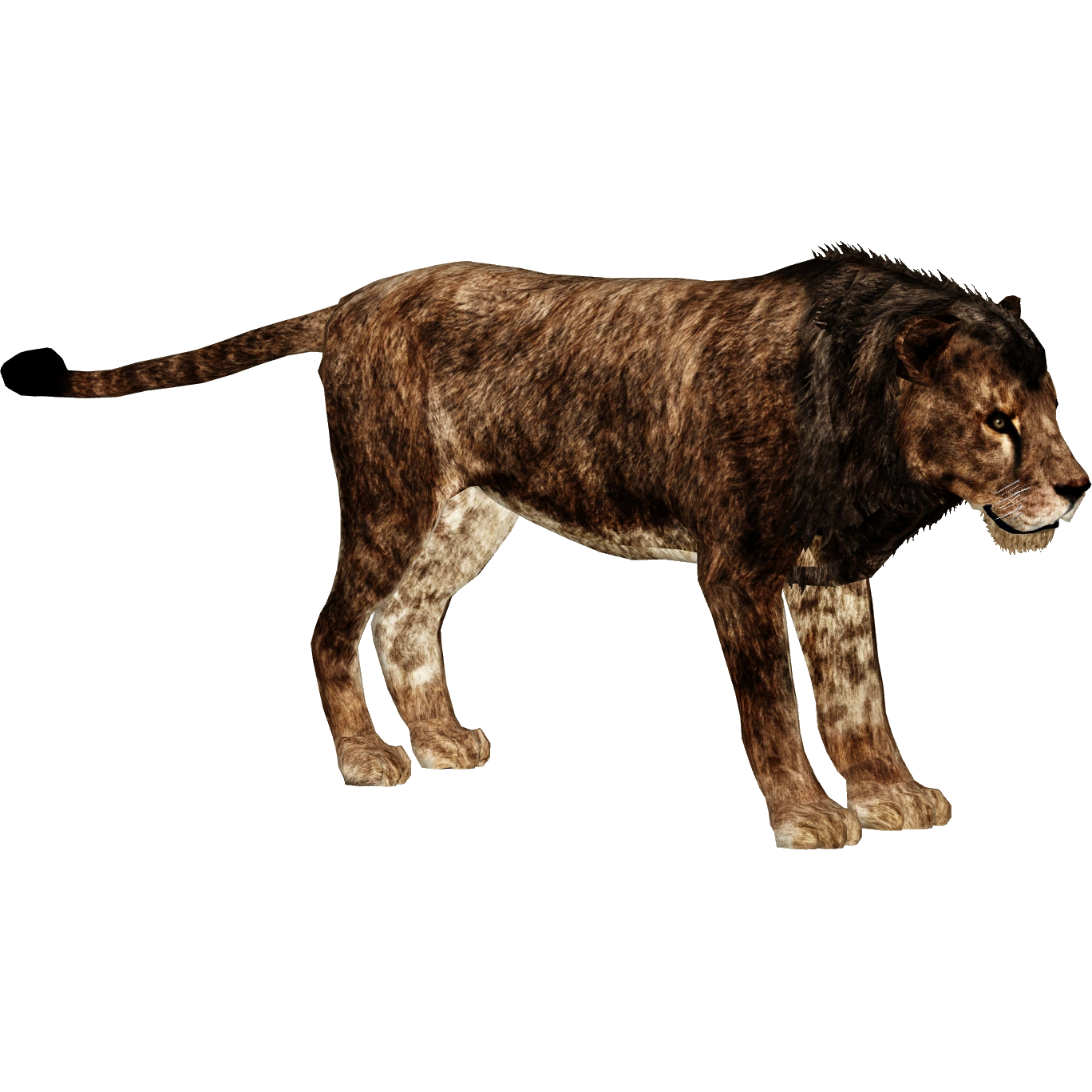 Zoo Tycoon 2 Radical Remake Lion