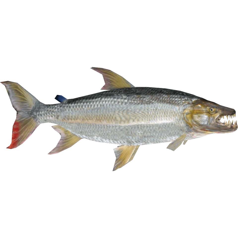 Goliath Tigerfish (Buffzoo & Thom) | ZT2 Download Library Wiki | Fandom