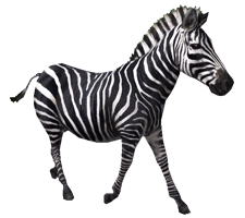 Grant's Zebra (Aurora Designs) | ZT2 Download Library Wiki | Fandom