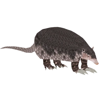 Giant Armadillo (Demon Hunter) | ZT2 Download Library Wiki | Fandom
