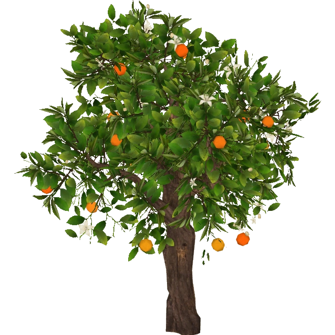 Orange Tree (slice) | ZT2 Download Library Wiki | Fandom