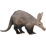 Category:Myomorphs | ZT2 Download Library Wiki | Fandom