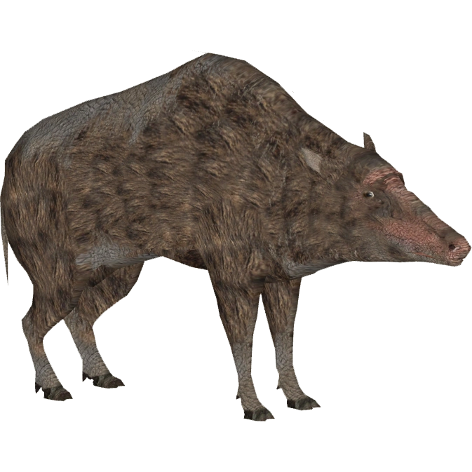 Entelodon (Bunyupy) | ZT2 Download Library Wiki | Fandom