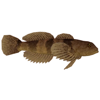 Japanese Fluvial Sculpin (Thom) | ZT2 Download Library Wiki | Fandom