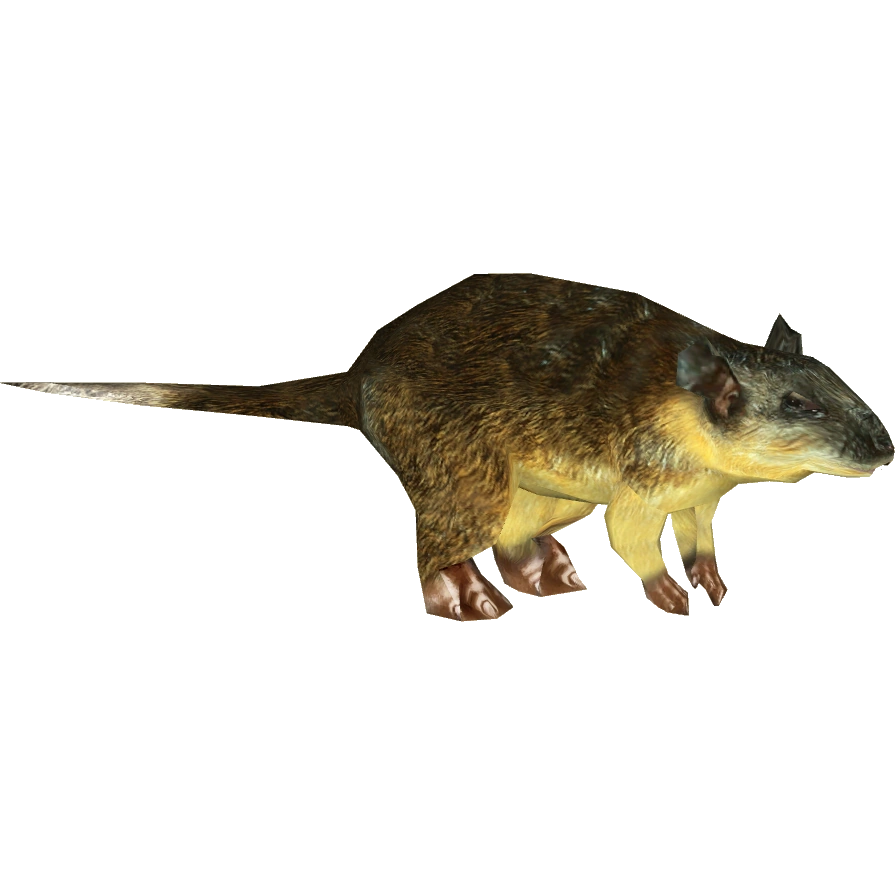 Rakali (Tamara Henson) | ZT2 Download Library Wiki | Fandom