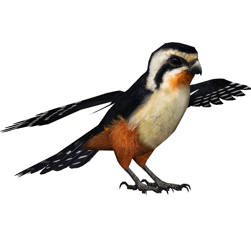 Collared Falconet (Jannick) | ZT2 Download Library Wiki | Fandom