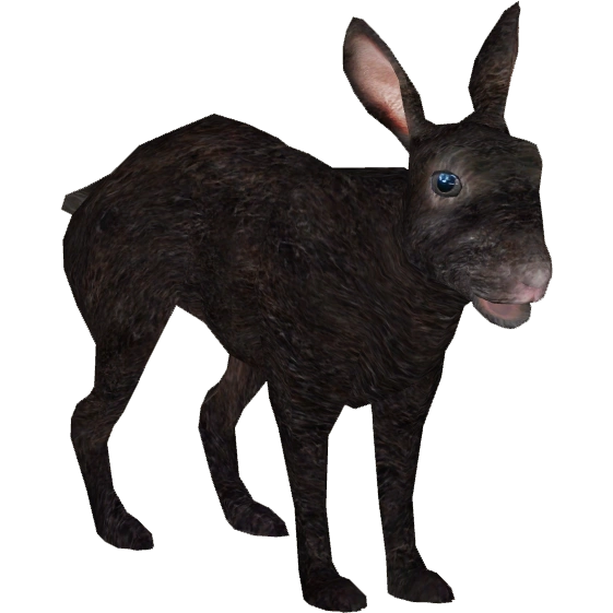 Amami Rabbit (Tamara Henson) | ZT2 Download Library Wiki | Fandom