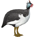 Category:2022 | ZT2 Download Library Wiki | Fandom