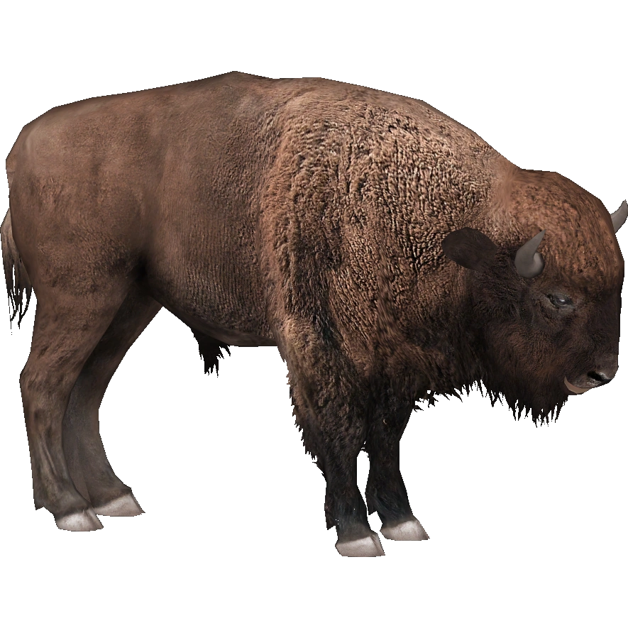 Western Bison (Palaeoloxodon28) | ZT2 Download Library Wiki | Fandom