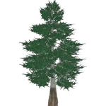 Category:Demon Hunter | ZT2 Download Library Wiki | Fandom