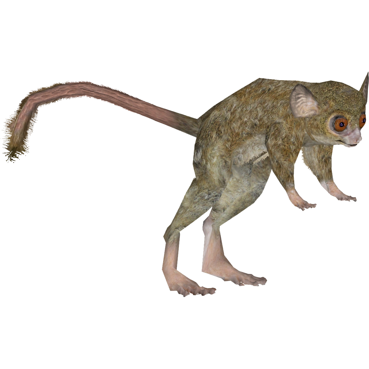 Category:Primates | ZT2 Download Library Wiki | Fandom