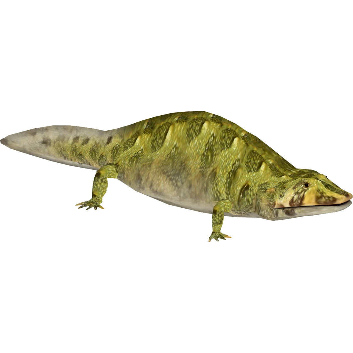 Sclerothorax (Demon Hunter) | ZT2 Download Library Wiki | Fandom