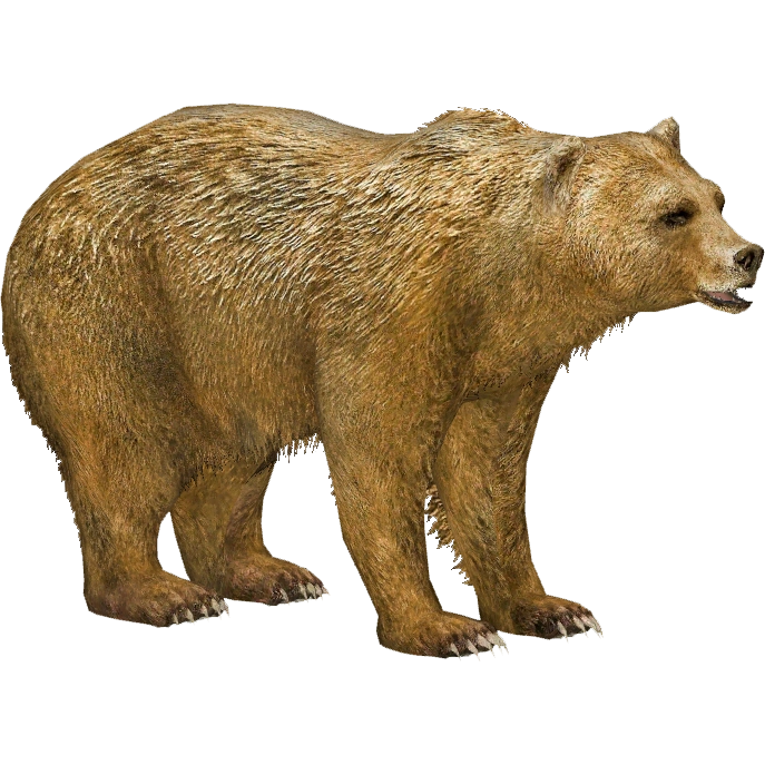Gobi Bear (Whalebite) | ZT2 Download Library Wiki | Fandom