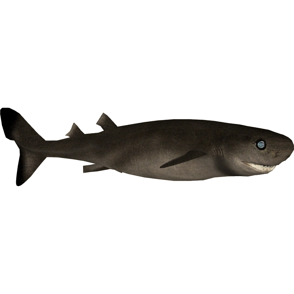 Cookiecutter Shark (7SeasDesigns) | ZT2 Download Library Wiki | Fandom