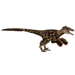 Category:Dromaeosaurs & Troodontids | ZT2 Download Library Wiki | Fandom