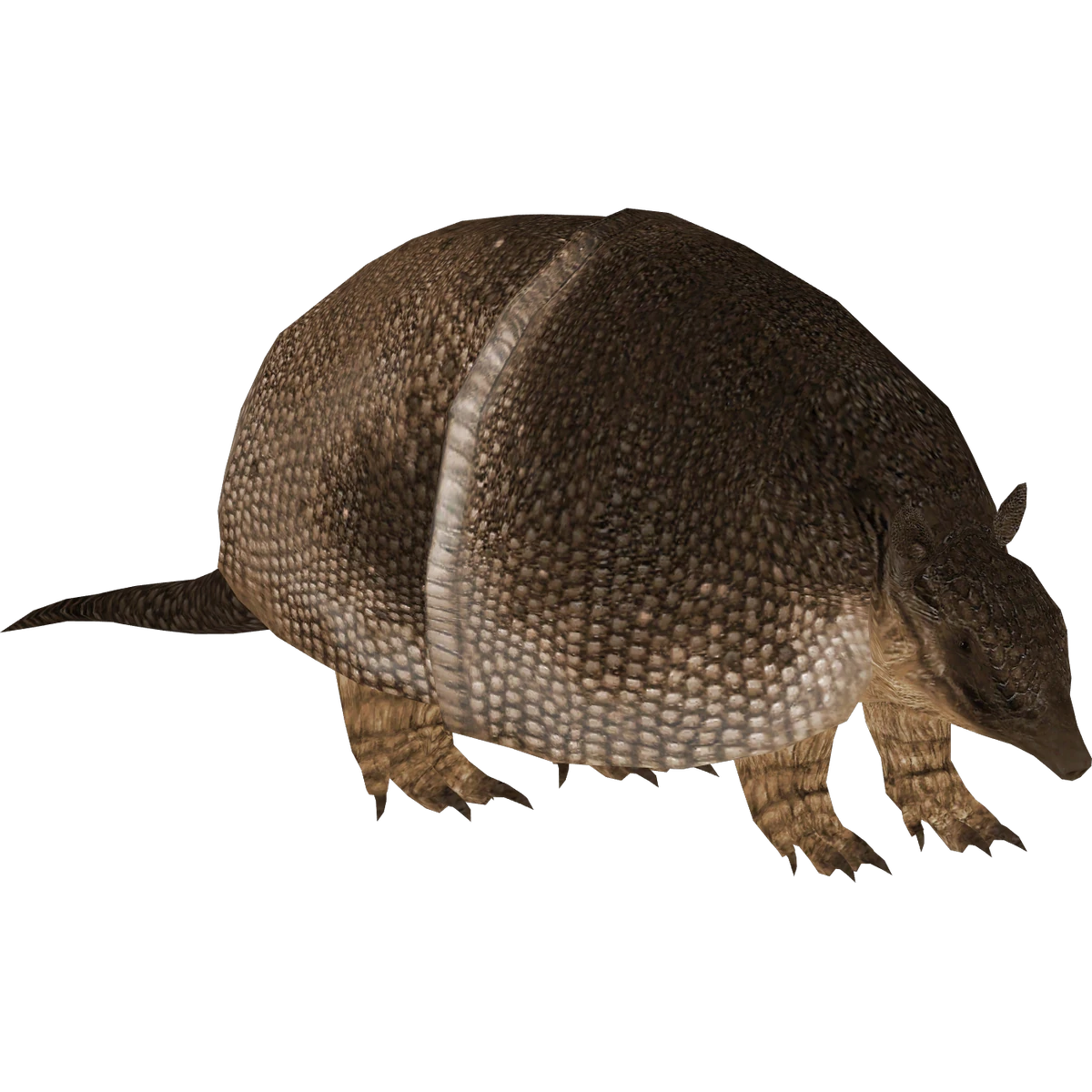 Neoglyptatelus (Demon Hunter) | ZT2 Download Library Wiki | Fandom