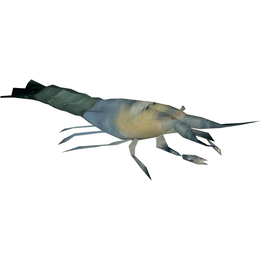 Ambient Cave Shrimp (Whalebite) | ZT2 Download Library Wiki | Fandom