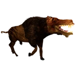 Category:Miocene Animals | ZT2 Download Library Wiki | Fandom