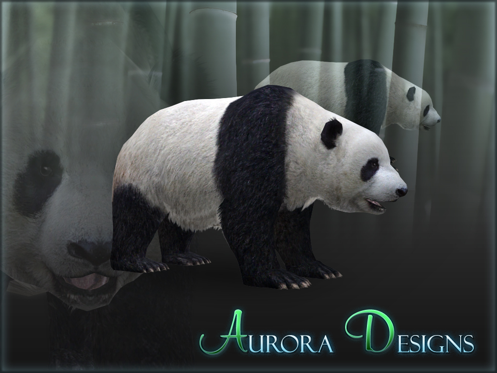 Giant Panda (Aurora Designs) | ZT2 Download Library Wiki | Fandom