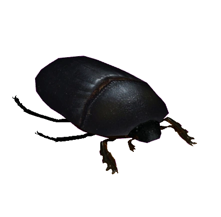 Sacred Scarab (Flish) | ZT2 Download Library Wiki | Fandom