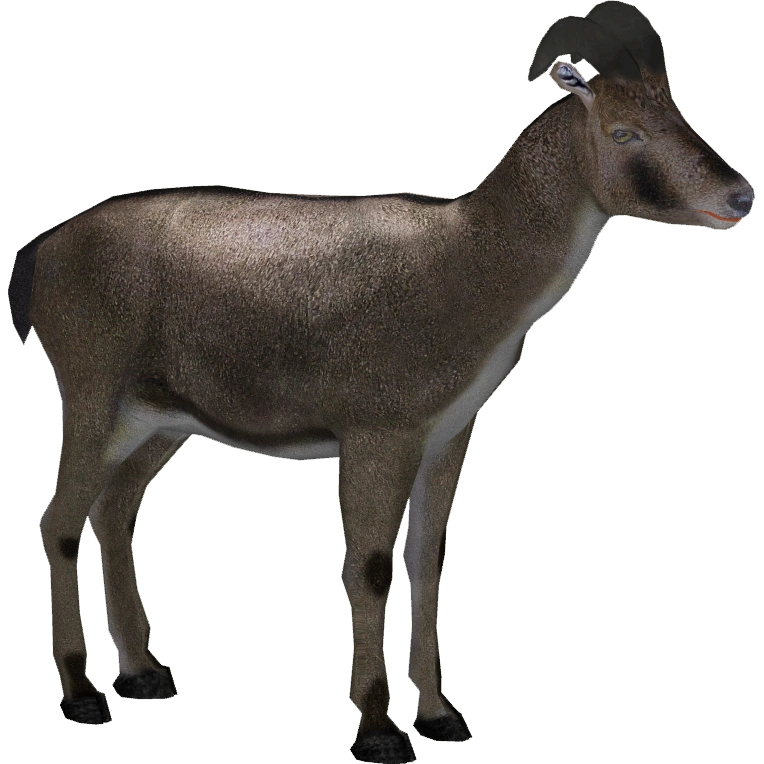 Nilgiri Tahr (Austroraptor) | ZT2 Download Library Wiki | Fandom