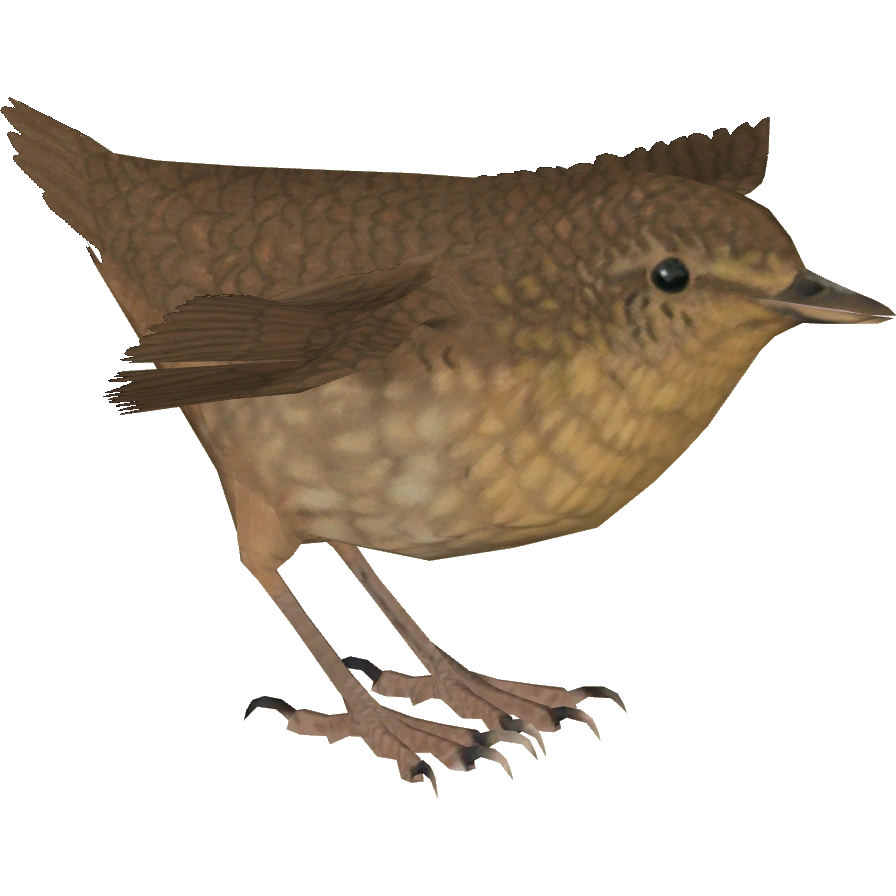 Stephen Island Wren (Whalebite) | ZT2 Download Library Wiki | Fandom