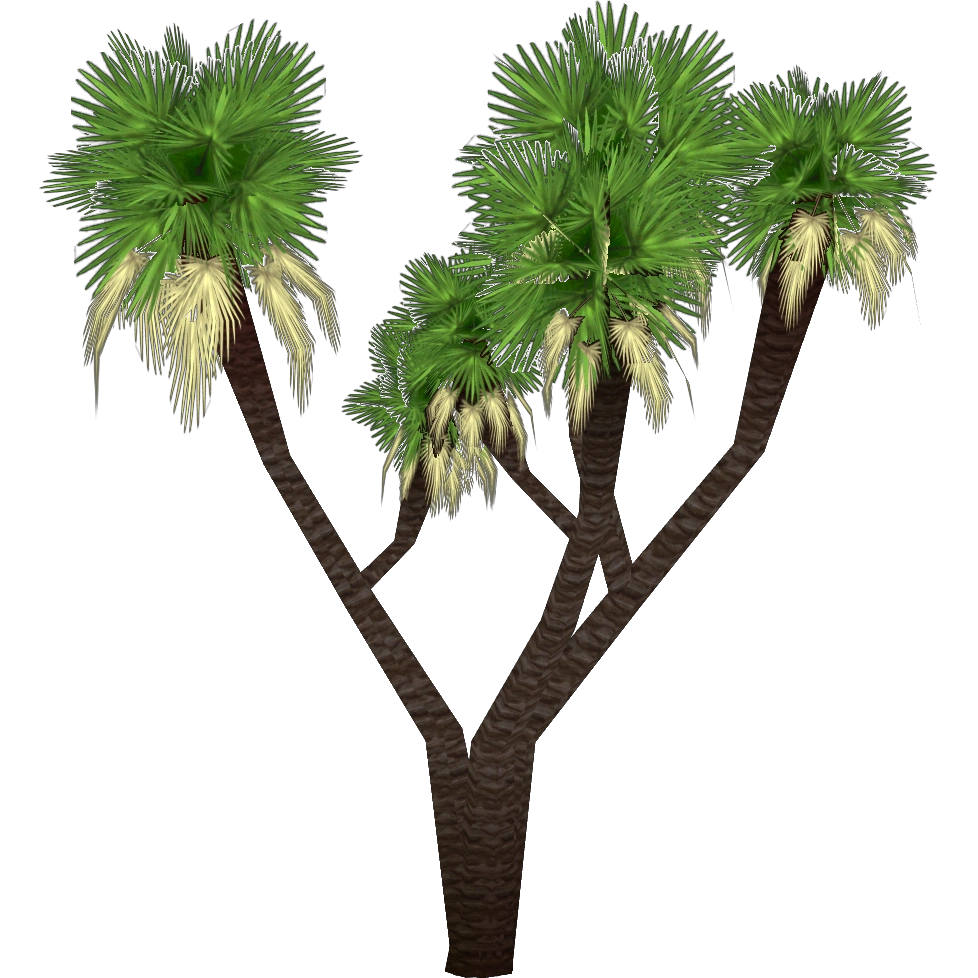 Doum Palm (NanoLancensis) | ZT2 Download Library Wiki | Fandom