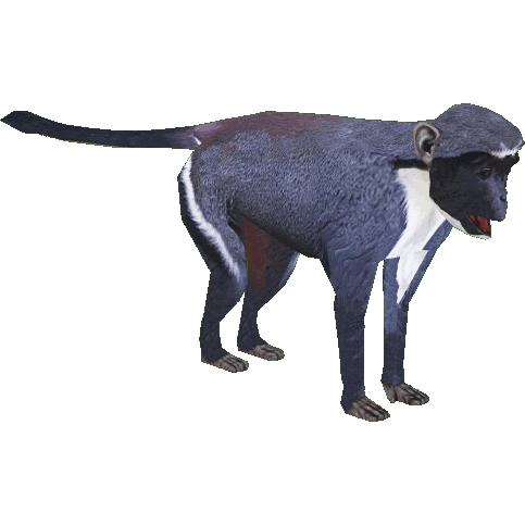 Diana Monkey (DutchDesigns)/Version 1 | ZT2 Download Library Wiki | Fandom