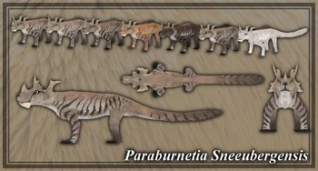 Paraburnetia (Acinonyx Jubatus) | ZT2 Download Library Wiki | Fandom