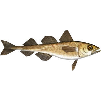 Arctic Cod (Thom) | ZT2 Download Library Wiki | Fandom